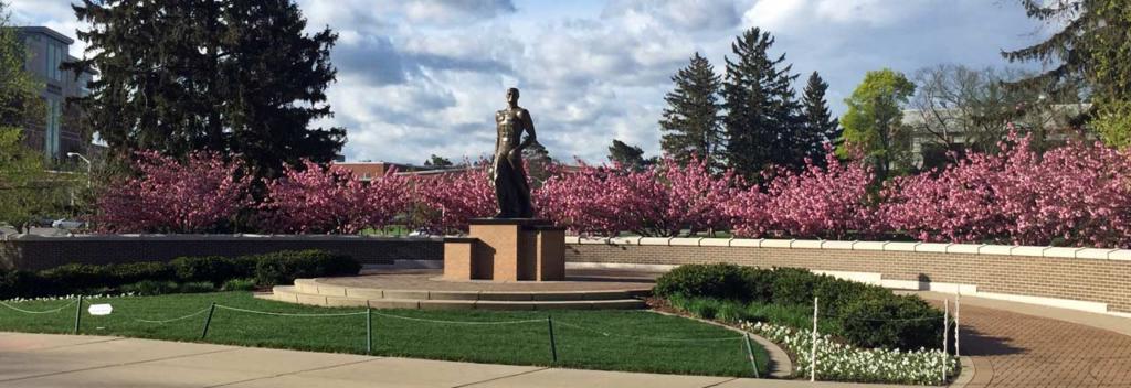 Michigan State University Campus Gardens, Museums, Arts, Sports...More